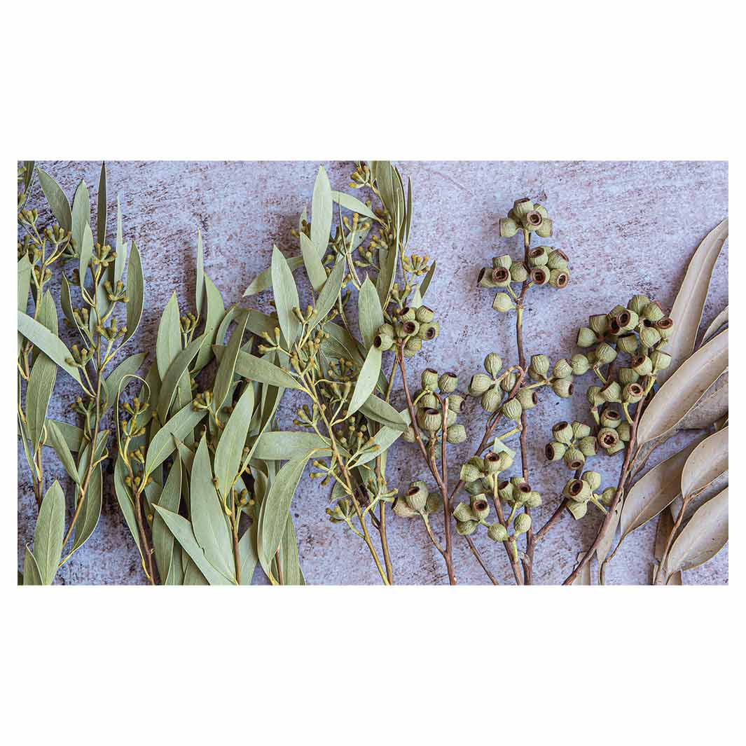 LEAVES BROWN NATURAL AMBERNUTS WITH GREEN FOLIAGE MULTI-PURPOSE MAT ...