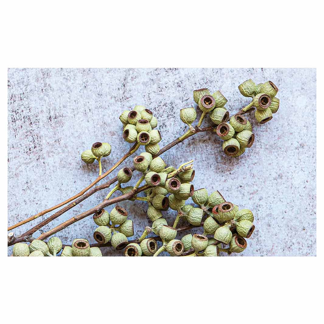 NATURAL GREEN NATURAL AMBERNUTS MULTI-PURPOSE MAT — Cape Rug, Home & Art