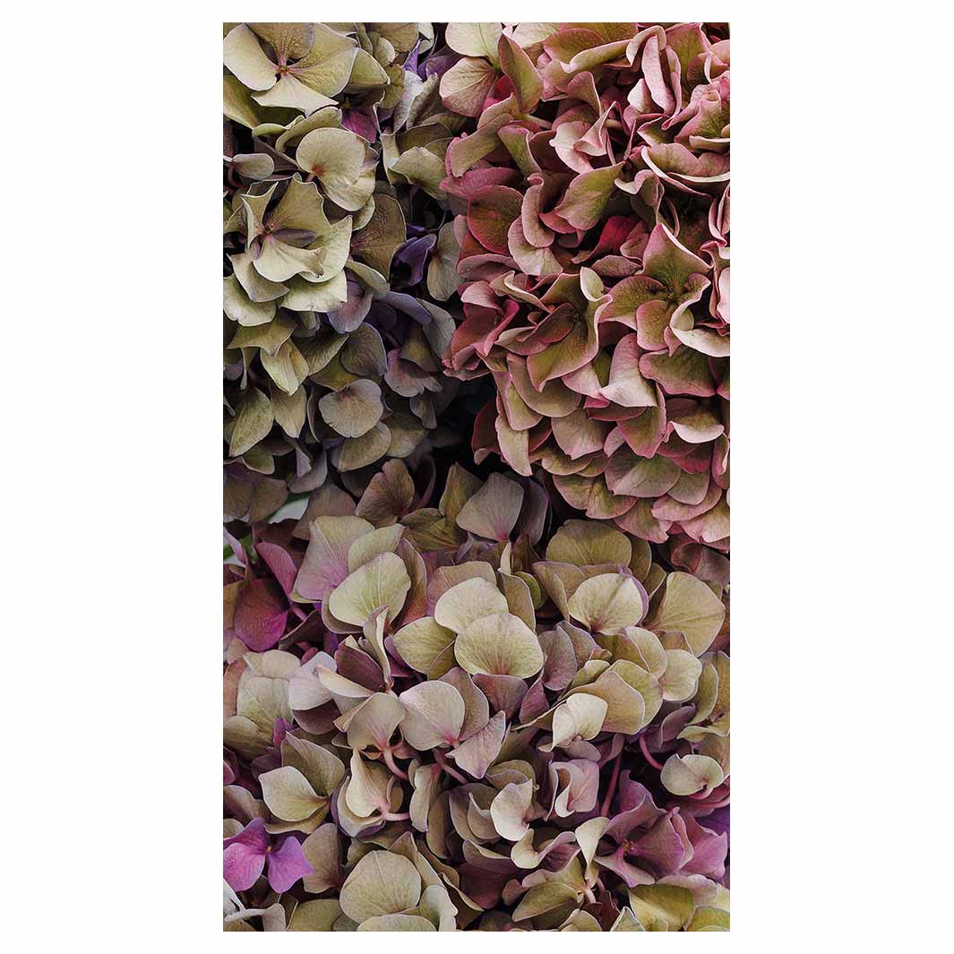 HYDRANGEA DEEP FLORAL TONES BUFF — Cape Rug, Home & Art