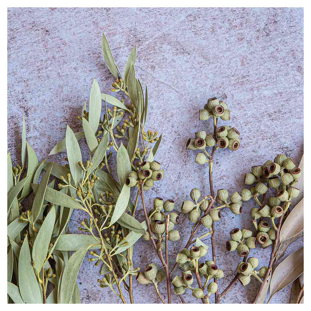 LEAVES BROWN NATURAL AMBERNUTS WITH GREEN FOLIAGE SQUARE COFFEE TABLE ...