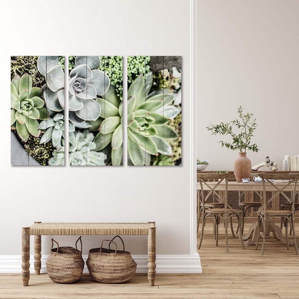 SUCCULENT CACTUS — Cape Rug, Home & Art