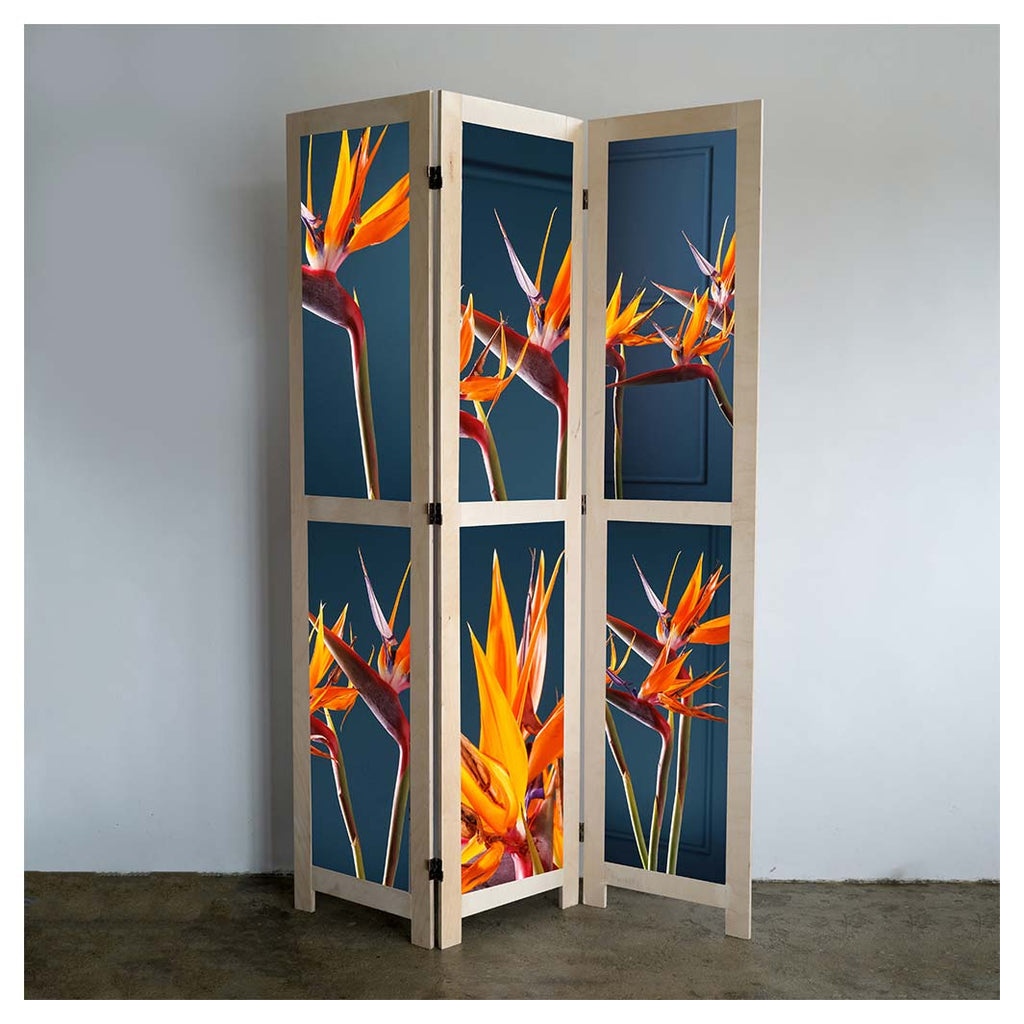Room Dividers — Cape Rug, Home & Art