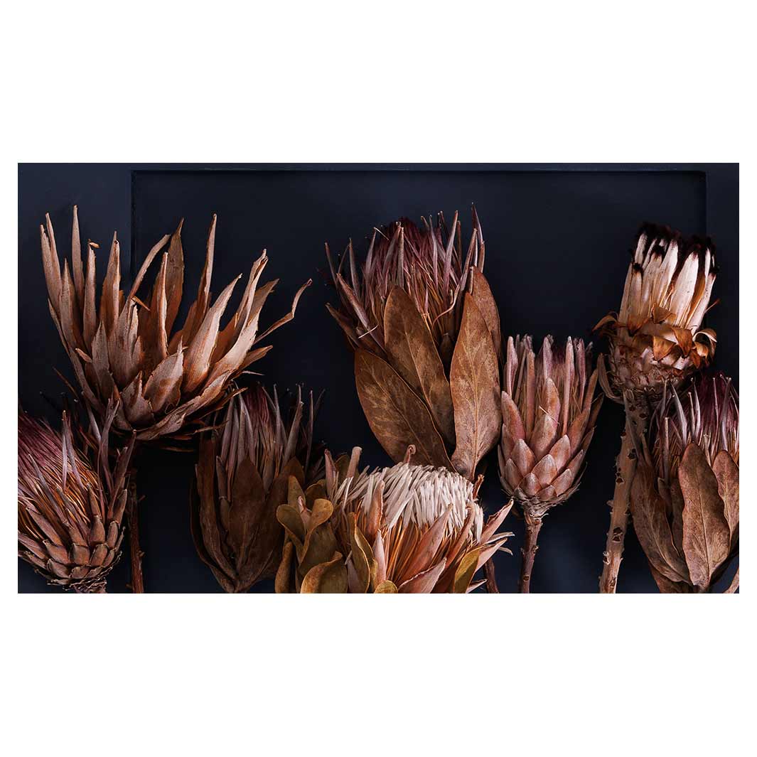 GOLDEN PROTEA ARRANGEMENT ON DARK BLUE MULTI-PURPOSE MAT — Cape Rug ...