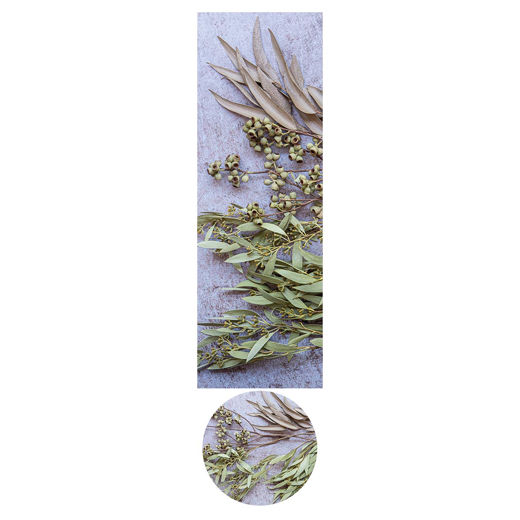 LEAVES BROWN NATURAL AMBERNUTS WITH GREEN FOLIAGE ROUND OTTOMAN – Cape ...